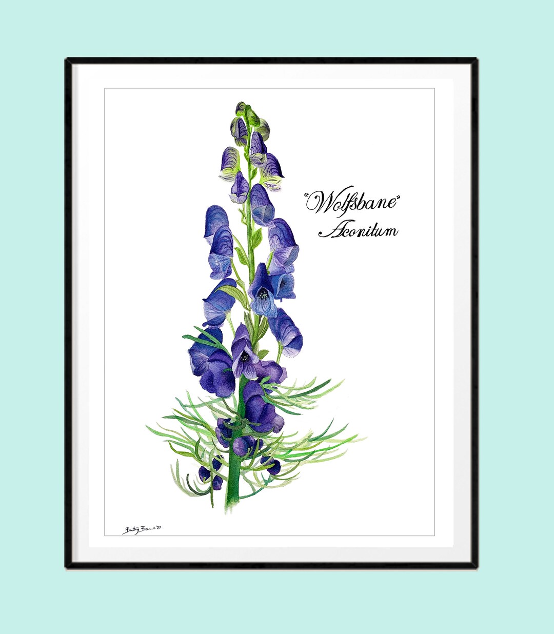 Wolfsbane Print - Instant Download - Etsy
