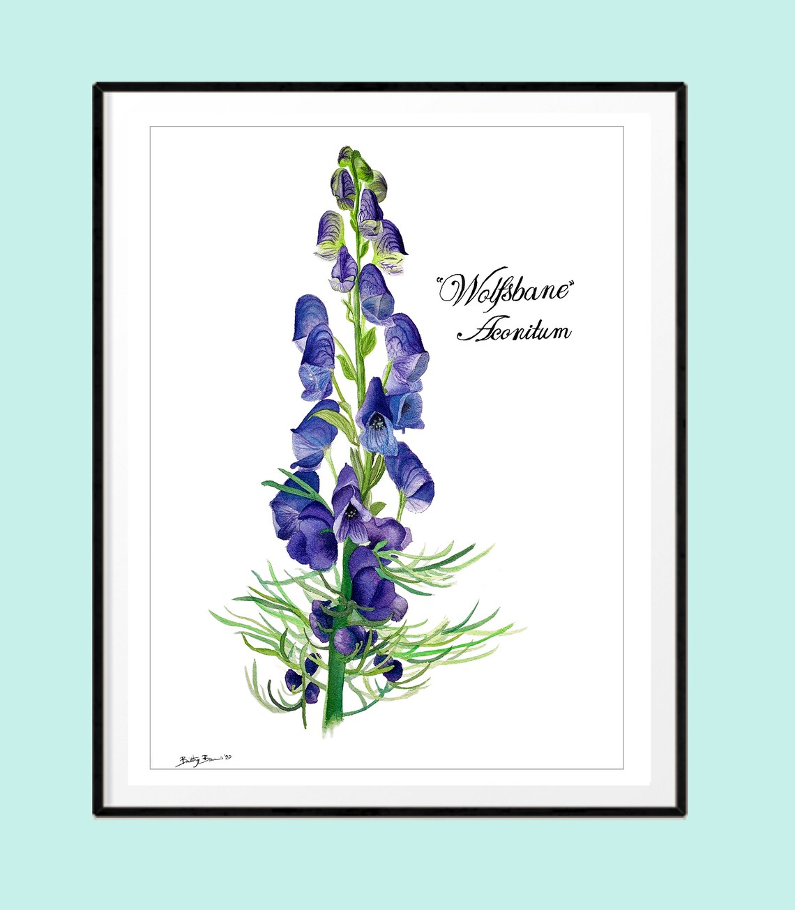 Wolfsbane Print Instant Download - Etsy