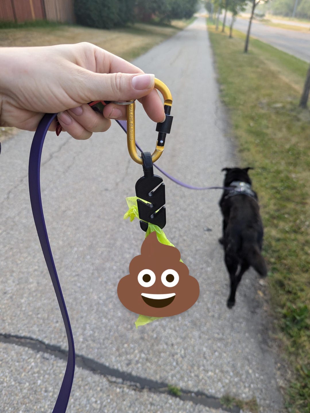 Dog Poop Bag Holder | Poo Caddy | Poop Sling - Etsy