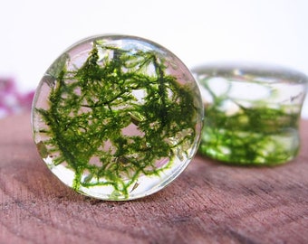 Moss plug | Etsy