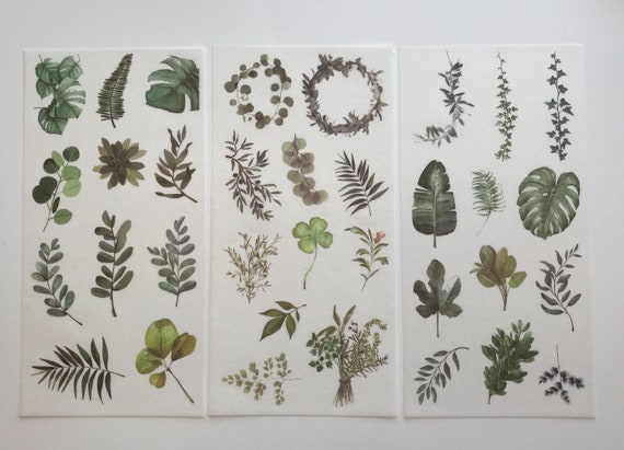 Sticker Set Green Leaves | Etsy