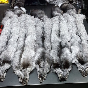 Silver Fox Pelt, Pelt, Silver Fox, Fox Fur, Fox Pelt, Silver Fox Fur ...