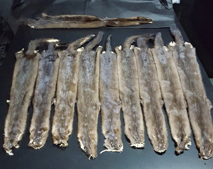 Dyed Sheared Beaver Pelt, Colored Beaver Fur, Paint Real Beaver Fur ...