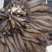 Marten Pelt, Marten Skin, Marten Hide, Marten Fur, Real Fur, Marten Fur ...