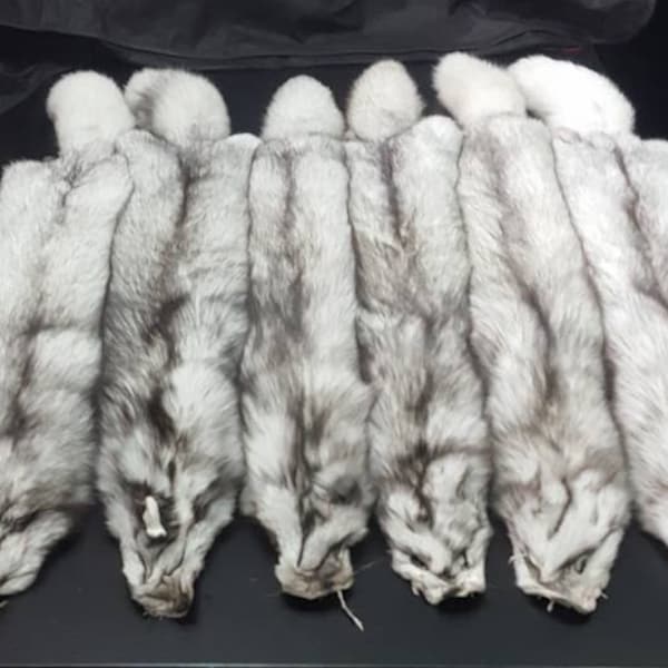 Real Animal Skin - Etsy