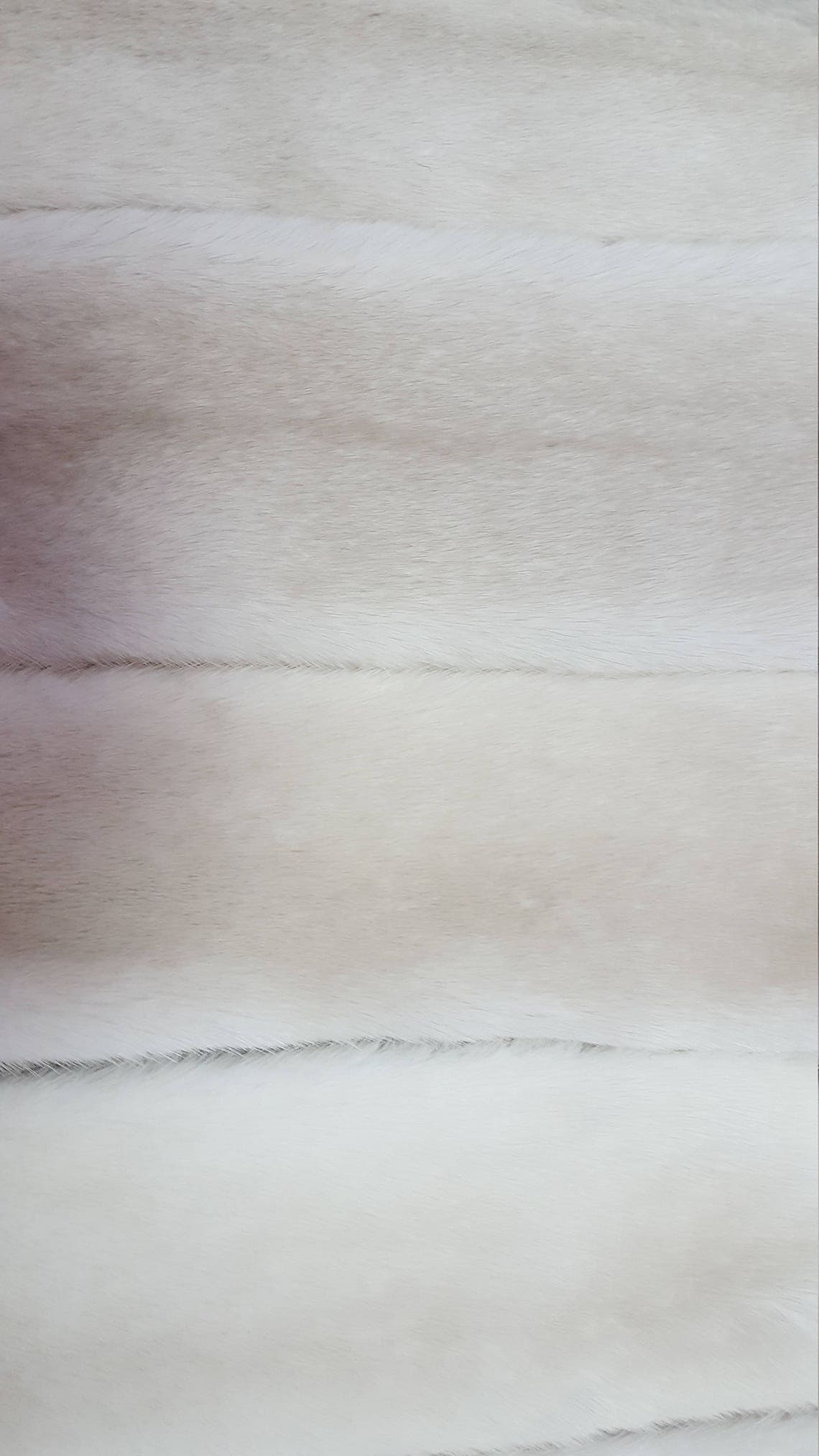 Beige Mink Pelt Mink Skin Mink Pelt Mink Hide Mink Fur - Etsy