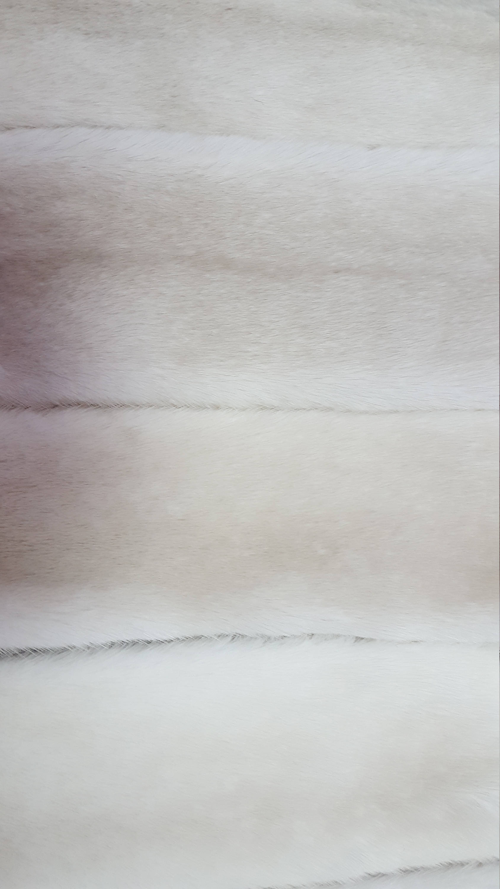 Beige mink pelt mink skin mink pelt mink hide mink fur | Etsy