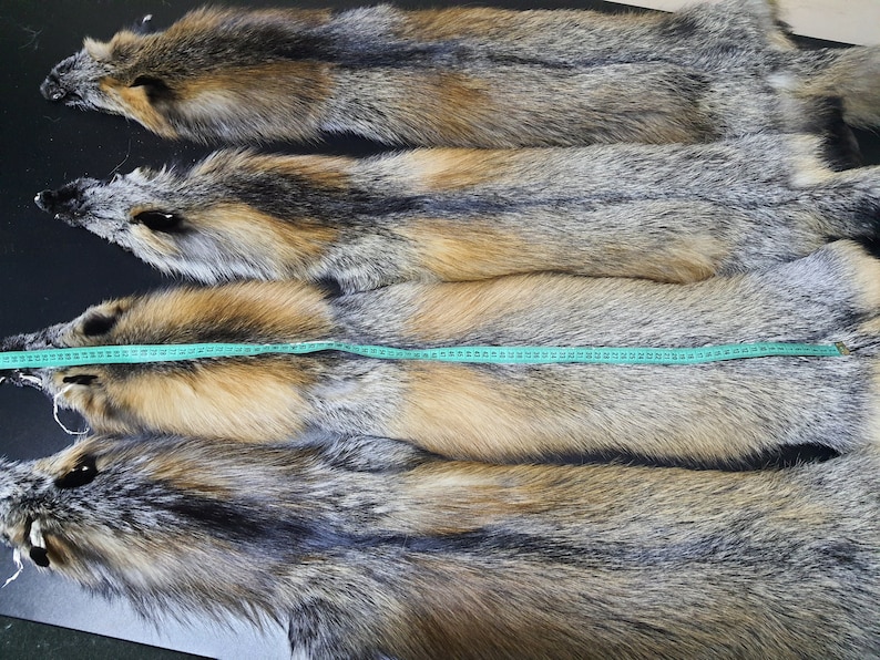 Cross Fox Pelt Fox Pelt Fox Pelts Fox Fur Real Fur Real | Etsy