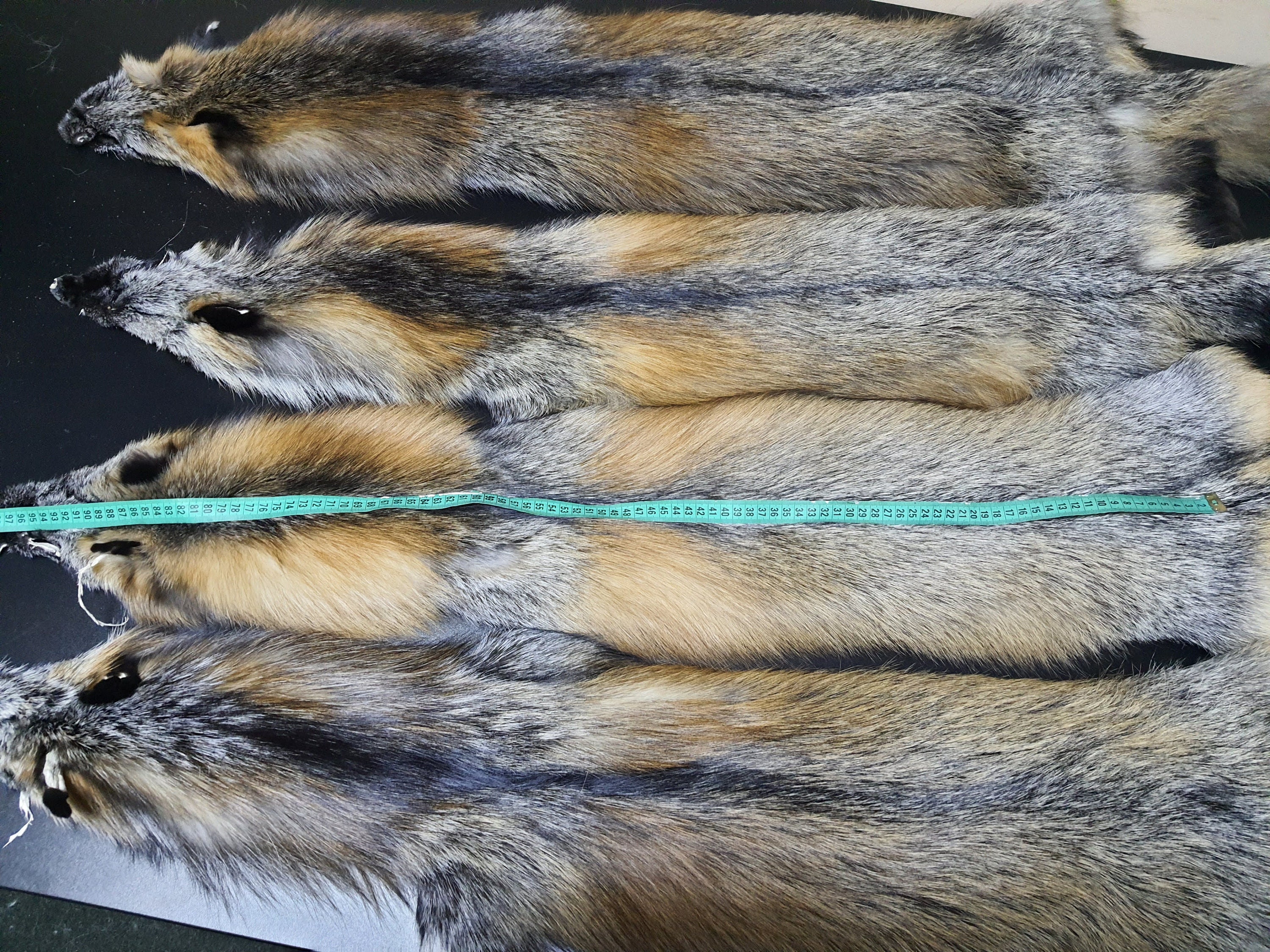 Cross Fox Pelt Fox Pelt Fox Pelts Fox Fur Real Fur Real - Etsy Australia