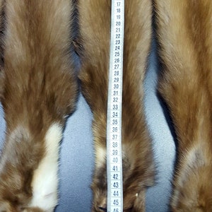 Marten Pelt, Marten Skin, Marten Hide, Marten Fur, Real Fur, Marten Fur ...