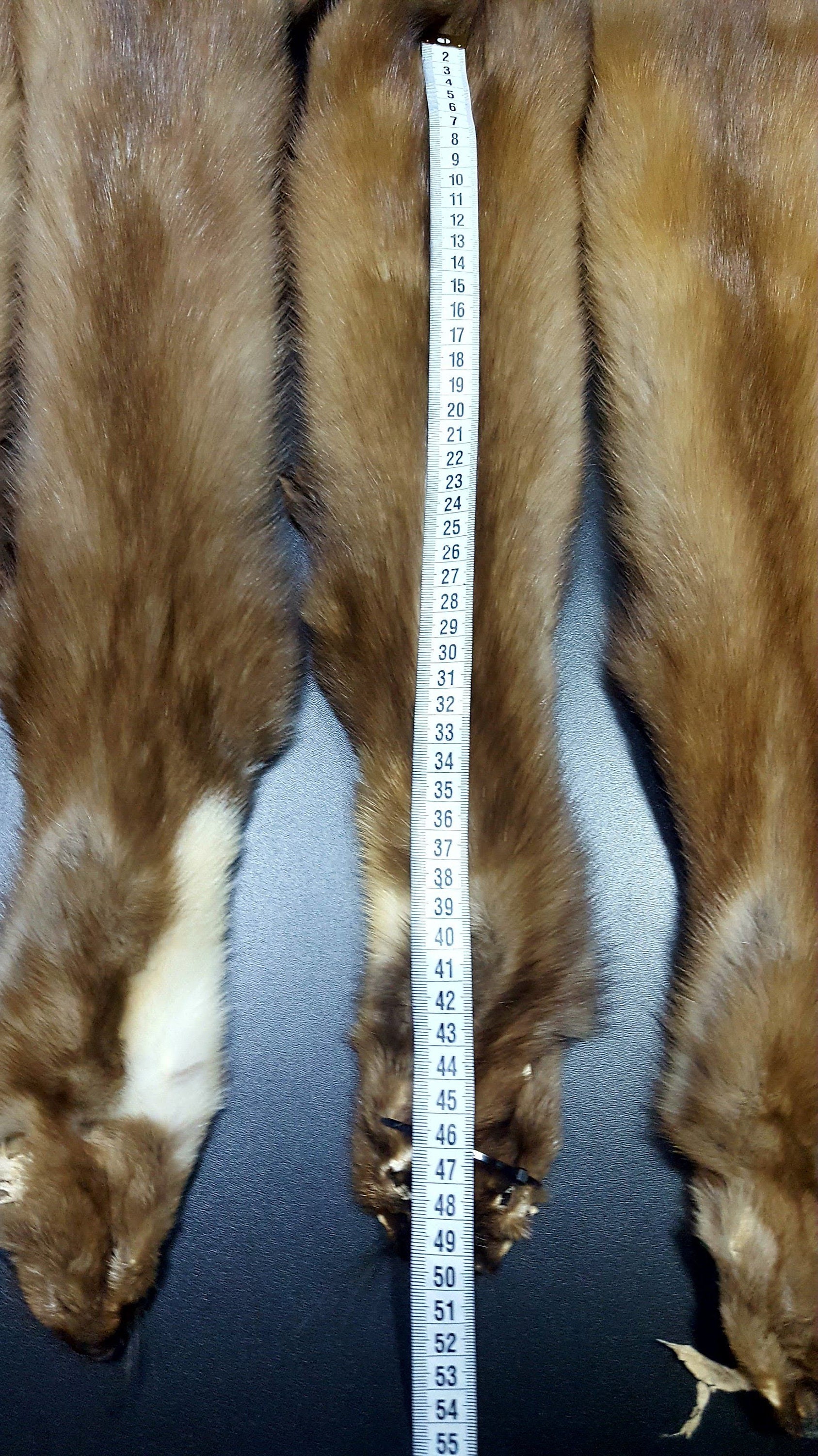 Marten Pelt Marten Skin Marten Hide Marten Fur Real Fur | Etsy