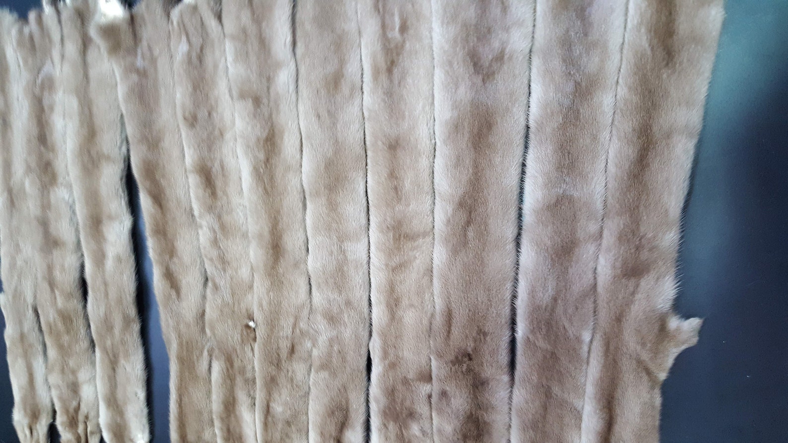 Pastel Mink Pelt Mink Fur Mink Hide Mink Skin Real Mink | Etsy