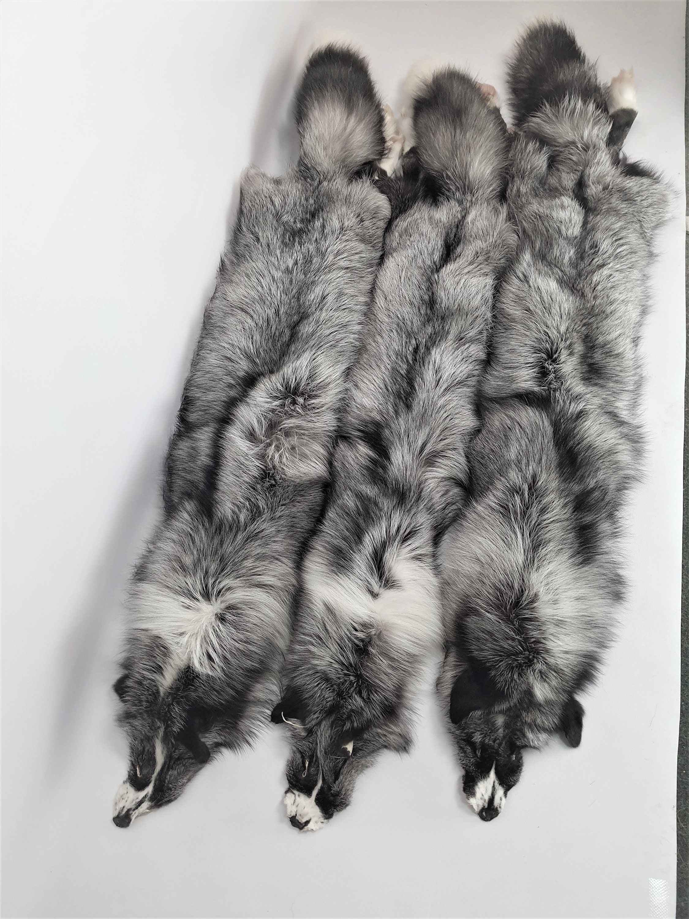 Silver Cross Fox Pelt With Paws and Claws Silver Fox Fox - Etsy