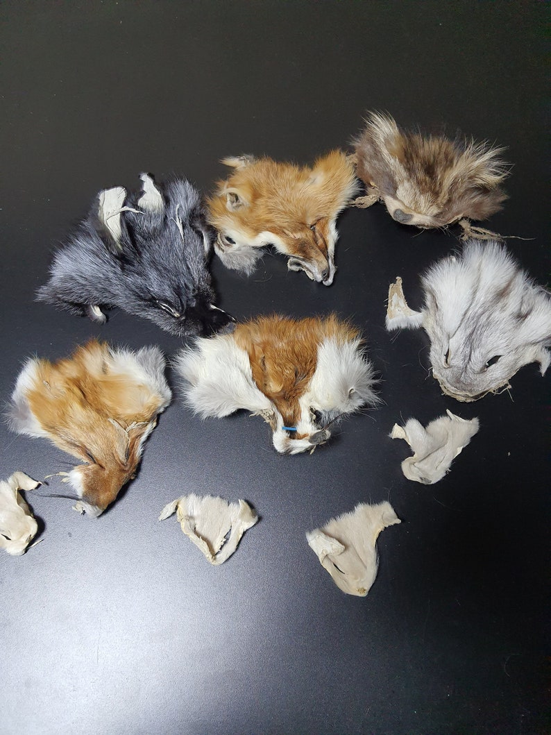 LOT of 6 Fox Face Medieval Accessories Viking Accessories - Etsy