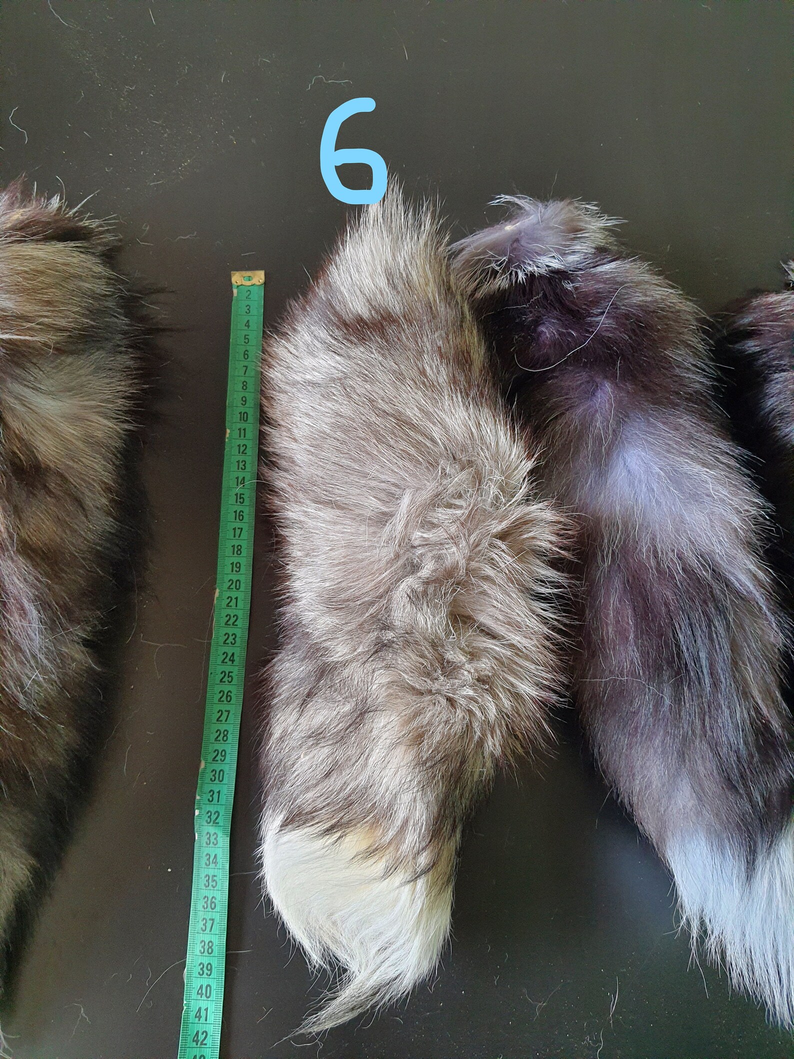 Large Silver Fox Tail Fox Tail Silver Fox Tail Fur Tail - Etsy