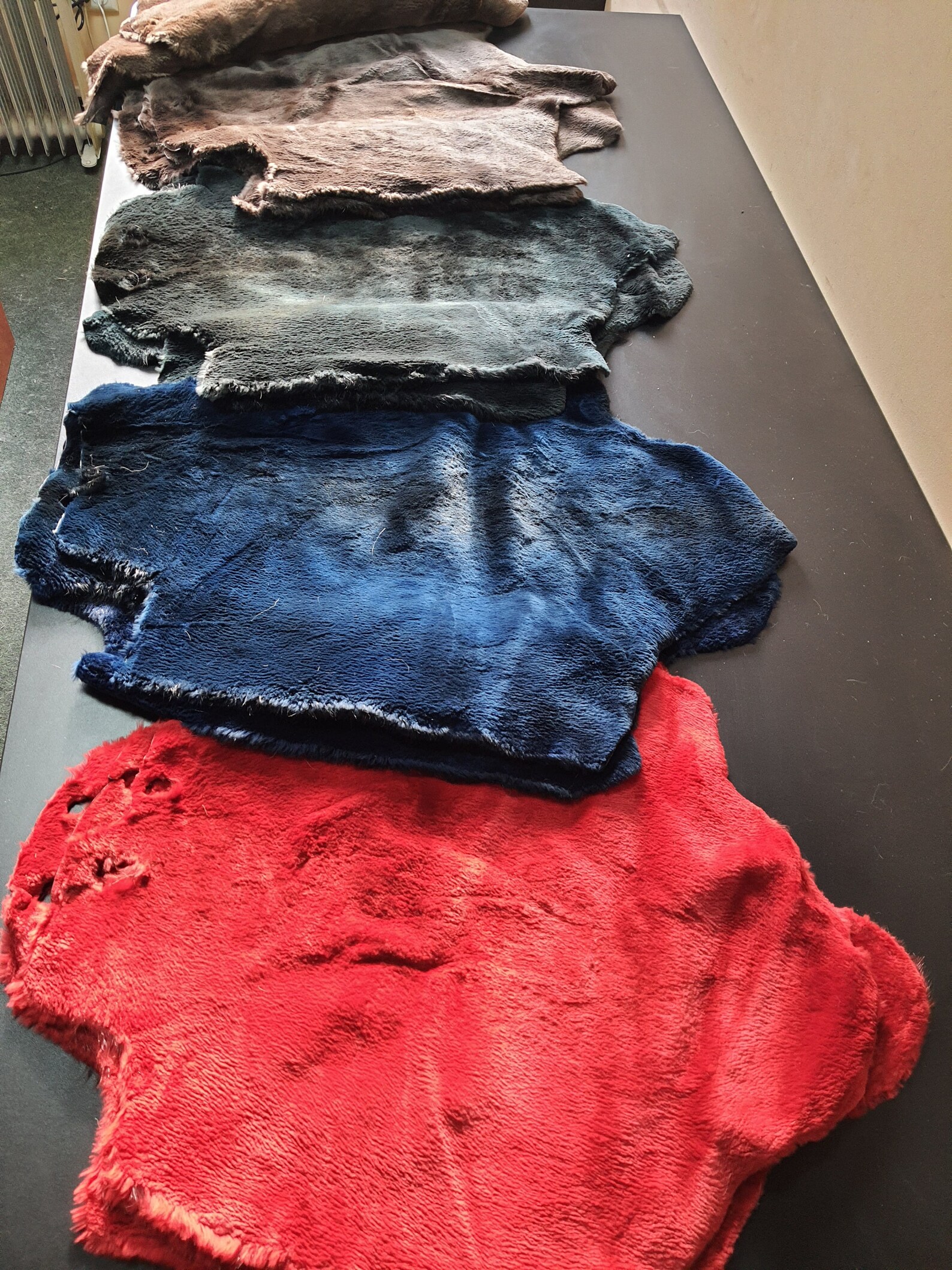 Dyed Sheared Beaver Pelt Colored Beaver Fur Paint Real | Etsy