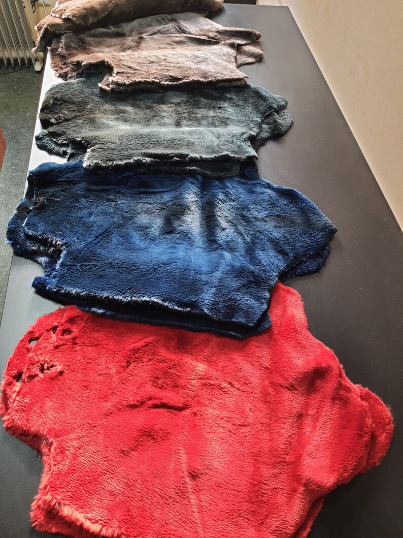 Dyed Sheared Beaver Pelt Colored Beaver Fur Paint Real | Etsy