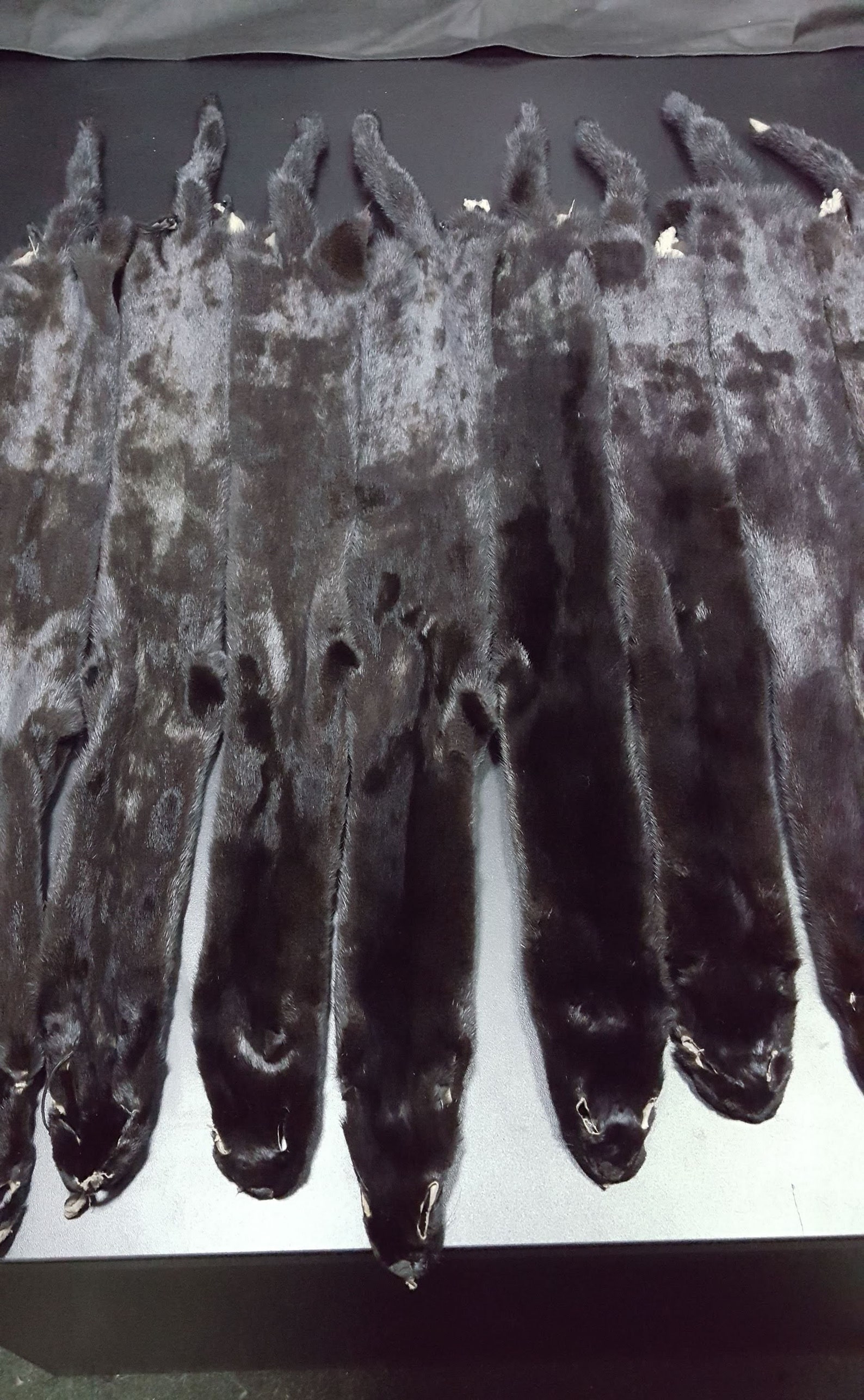 Mink Pelt Black Mink Skin Black Mink Fur Mink Hide Mink - Etsy