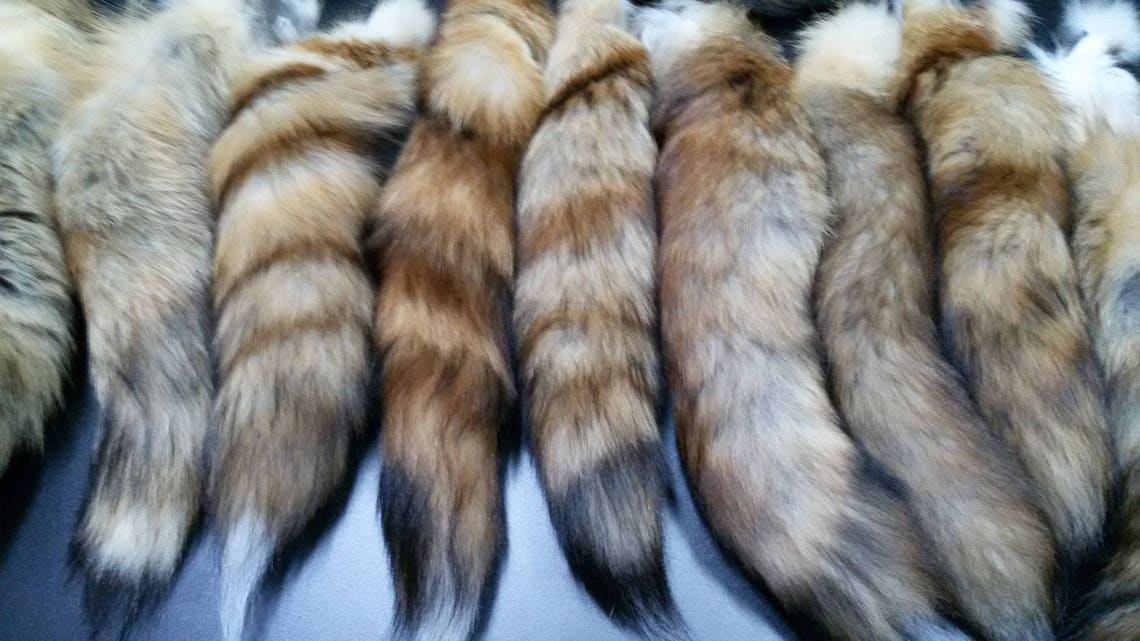 Real Fox Tail Fox Tail Fox Tails Red Fox Red Fox Tail Fox - Etsy