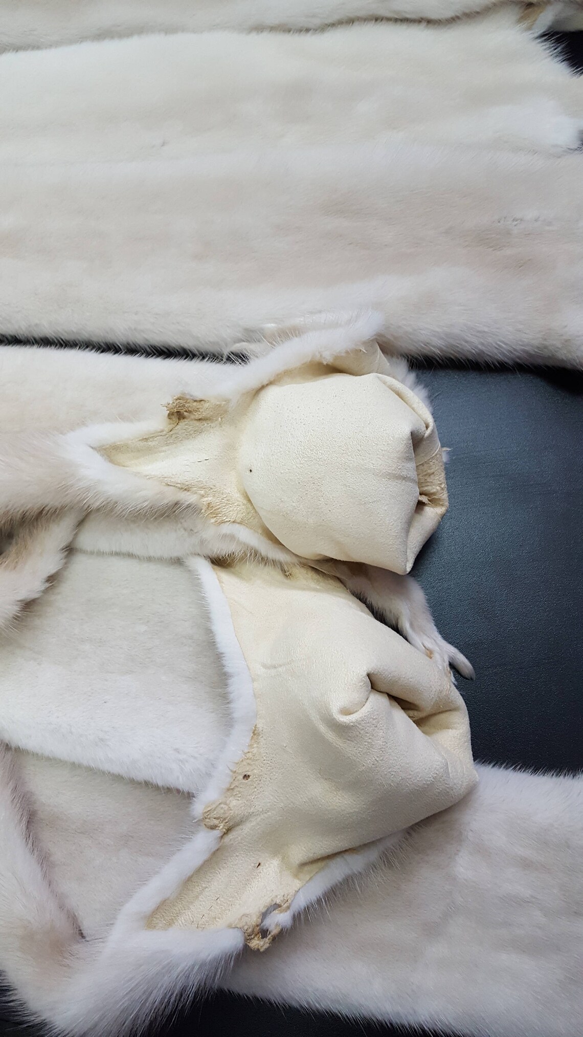 Beige Mink Pelt Mink Skin Mink Pelt Mink Hide Mink Fur - Etsy