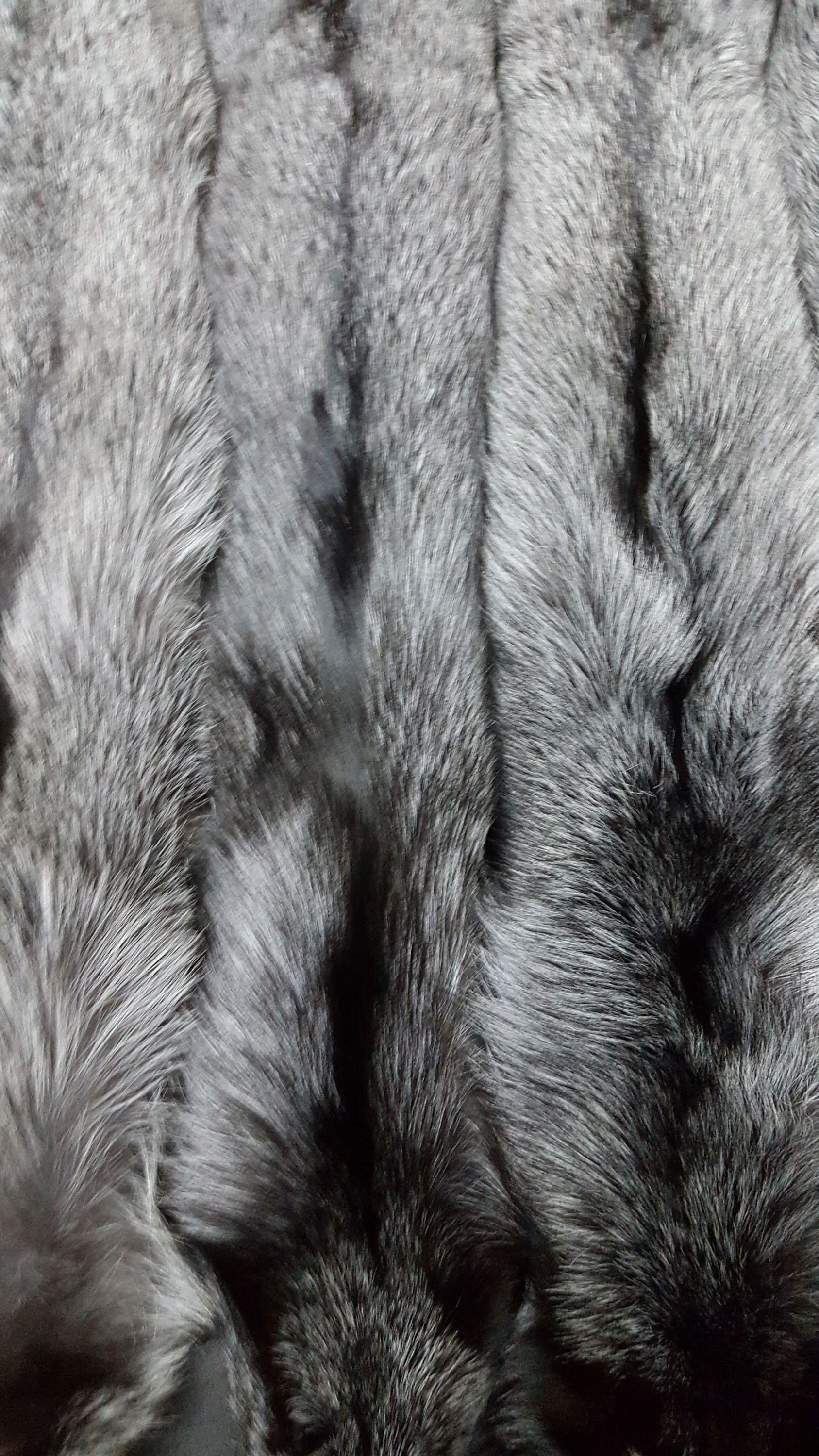 Silver fox pelt pelt silver fox fox fur fox pelt silver | Etsy