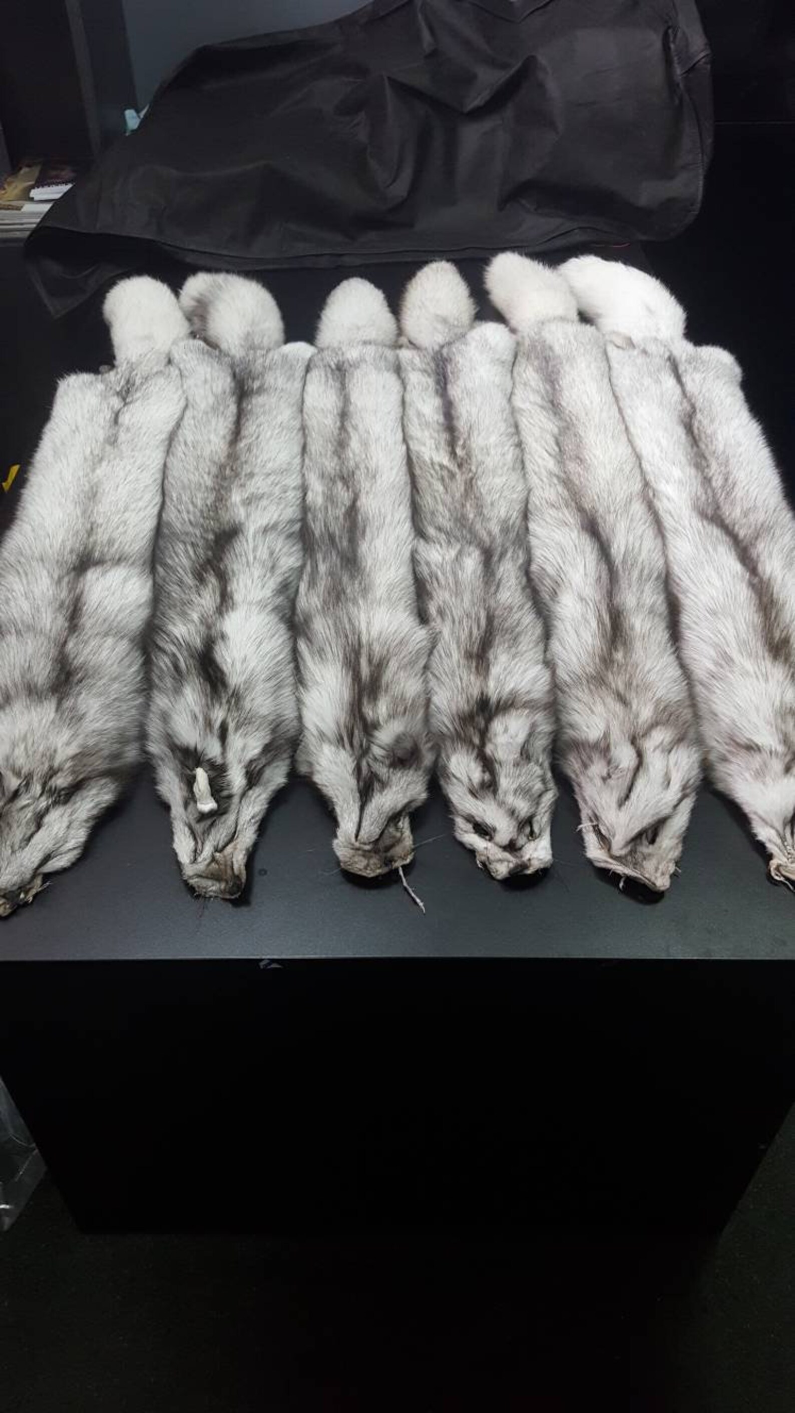 Real Fox Pelt Shadow Fox Pelt Fox Pelt Fox Fur Fox Skin - Etsy