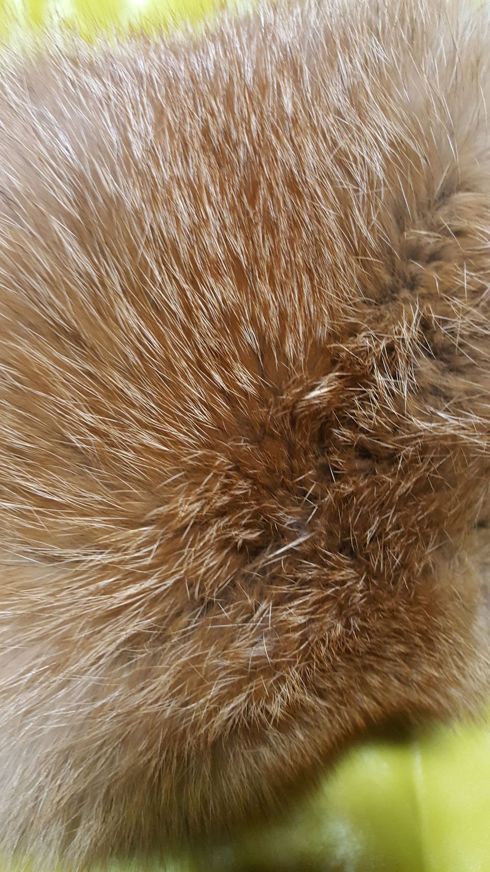 Gold Fox Fur Muff Muff Fur Muff Real Fur Muff Fur - Etsy