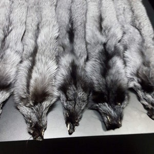 Silver Fox Pelt, Pelt, Silver Fox, Fox Fur, Fox Pelt, Silver Fox Fur ...