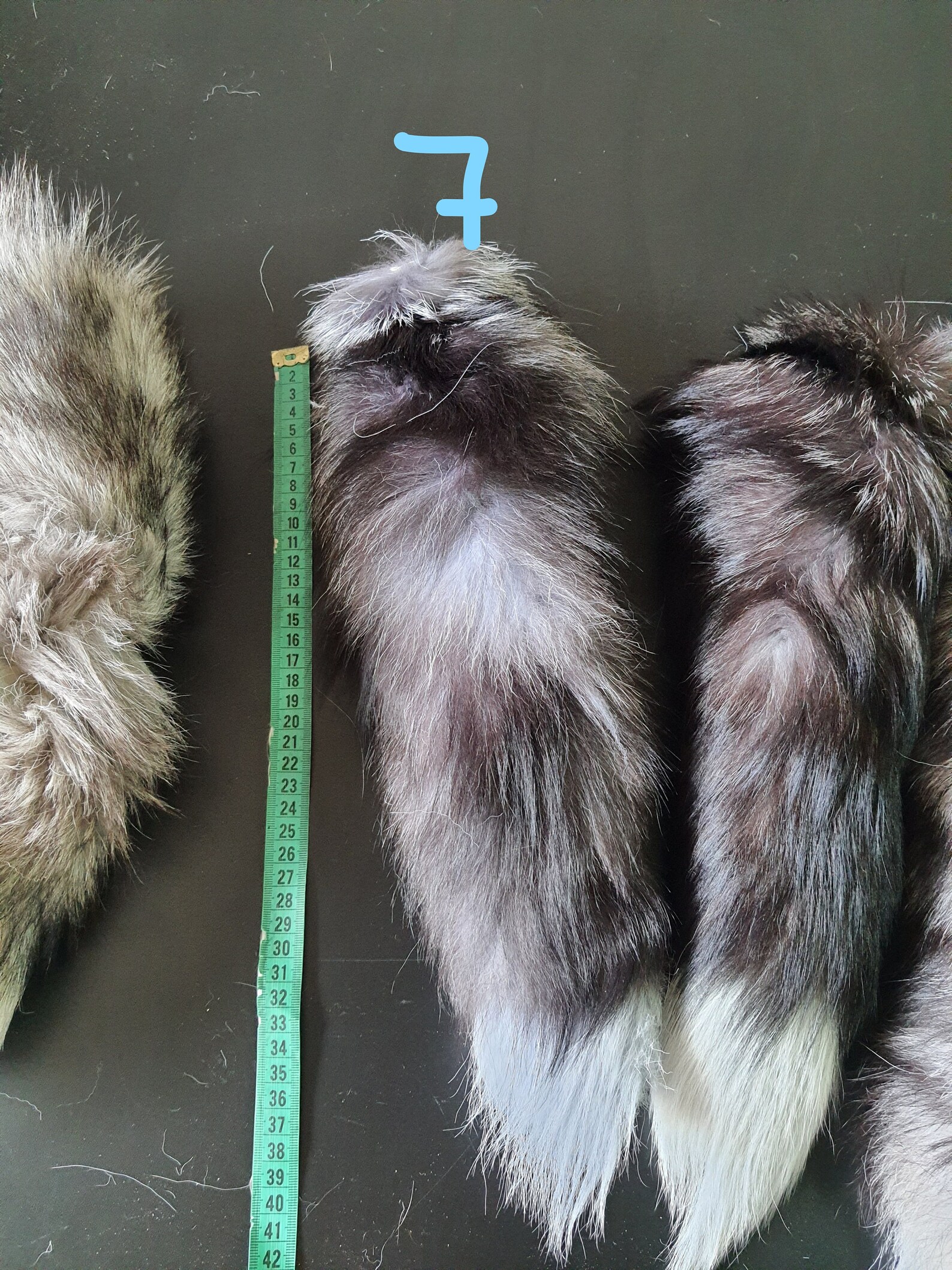 Large Silver Fox Tail Fox Tail Silver Fox Tail Fur Tail - Etsy