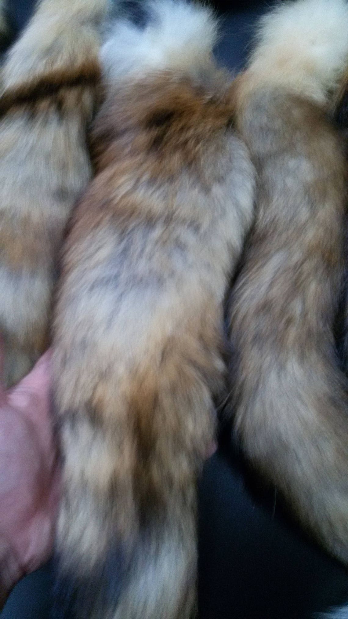 Real Fox Tail Fox Tail Fox Tails Red Fox Red Fox Tail Fox - Etsy UK