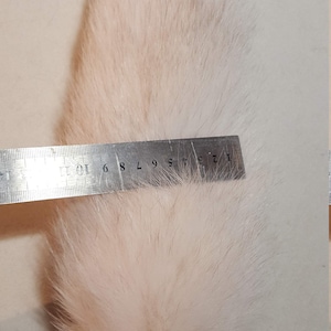 Large White Fox Tail Keychain With Gold Ring - Etsy