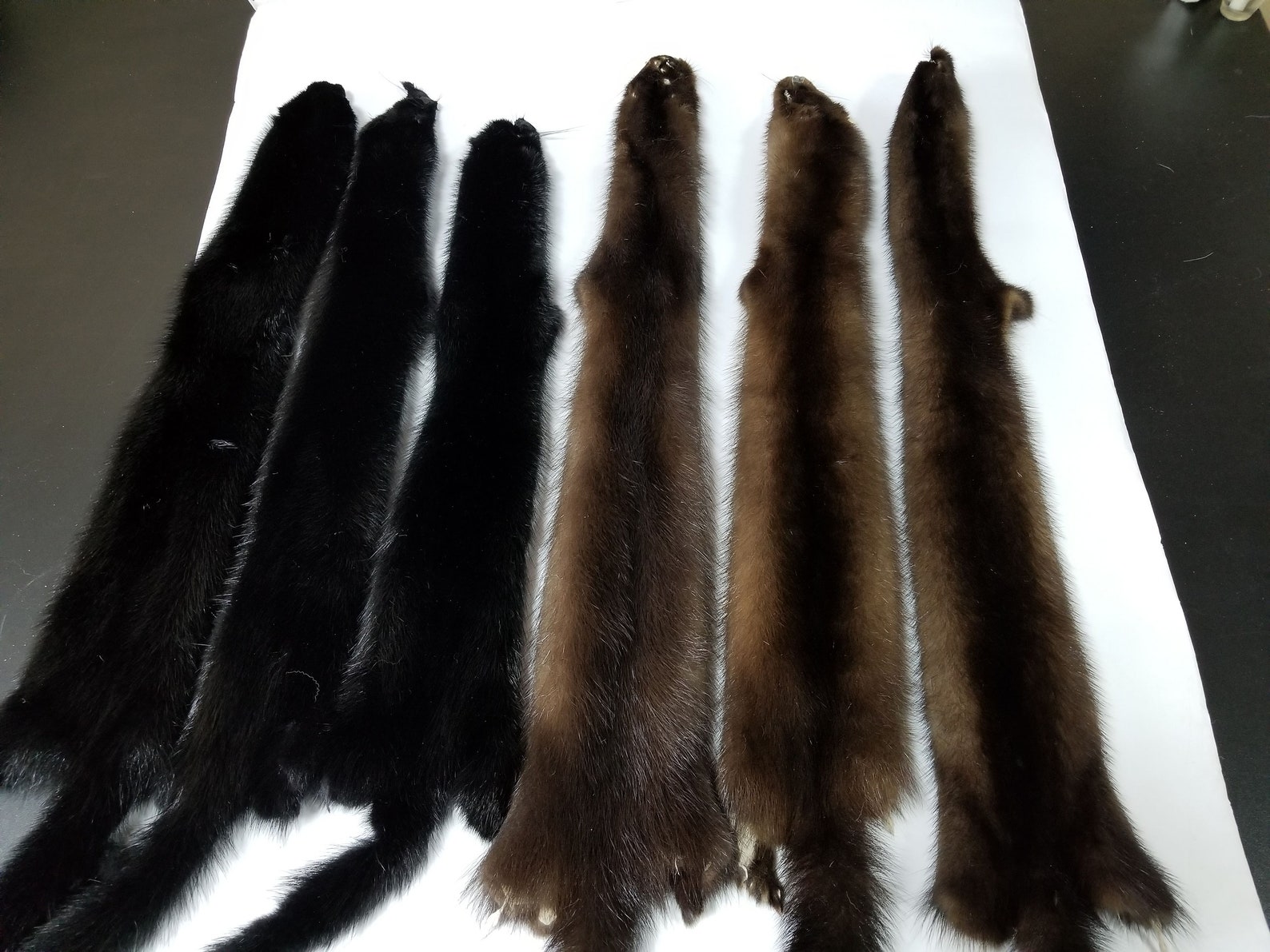 Real Mink Pelt Mink Pelts Mink Fur Real Fur Mink Skin - Etsy