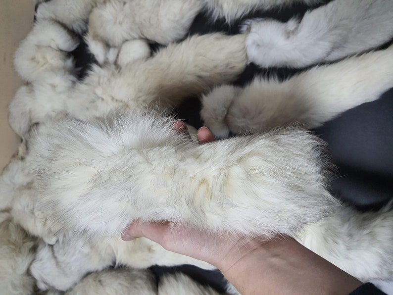 Real Fox Tail Fox Tail Fox Tails Shadow Fox Shadow Fox - Etsy Australia