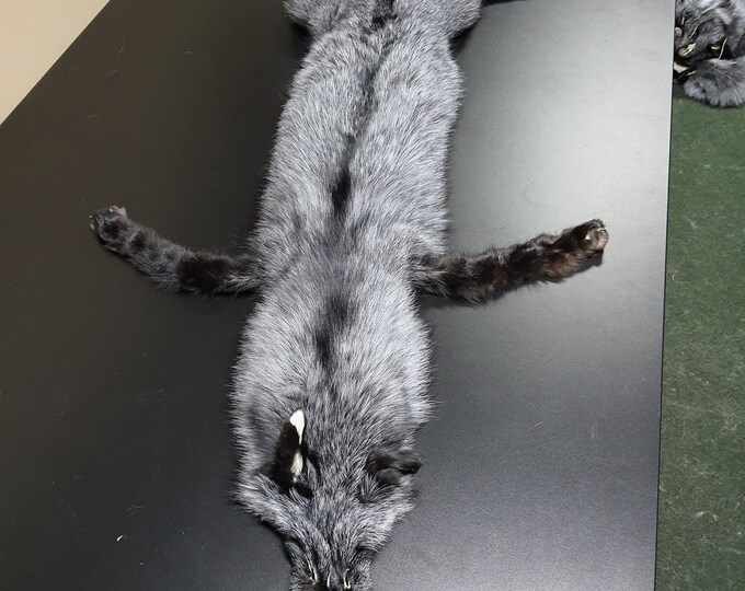 Silver Fox Pelt With Paws and Claws, Silver Fox, Fox Fur, Fox Pelt With ...