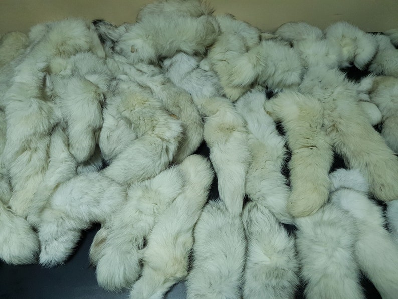 Real Fox Tail Fox Tail Fox Tails Shadow Fox Shadow Fox - Etsy