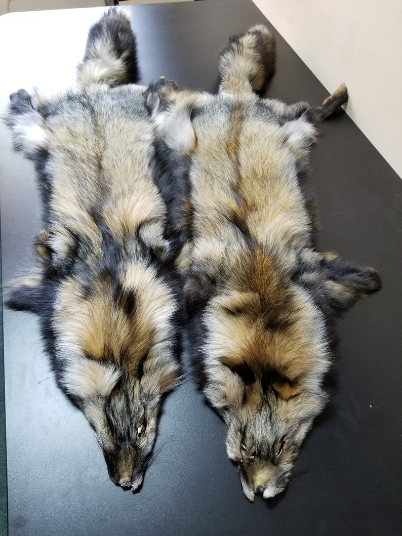Cross fox pelt fox pelt fox pelts fox fur real fur real | Etsy