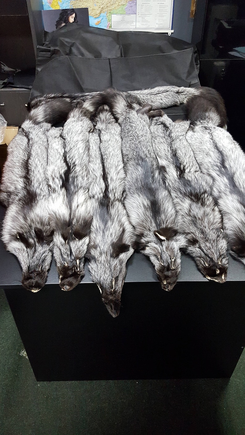 Finnish Silver Fox Furry Silver Fox Silver Fox Pelt Fox - Etsy