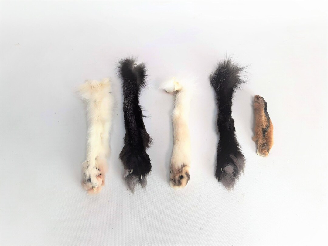 LOT of 5 Fox Paws With Claws Medieval Accessories Viking - Etsy