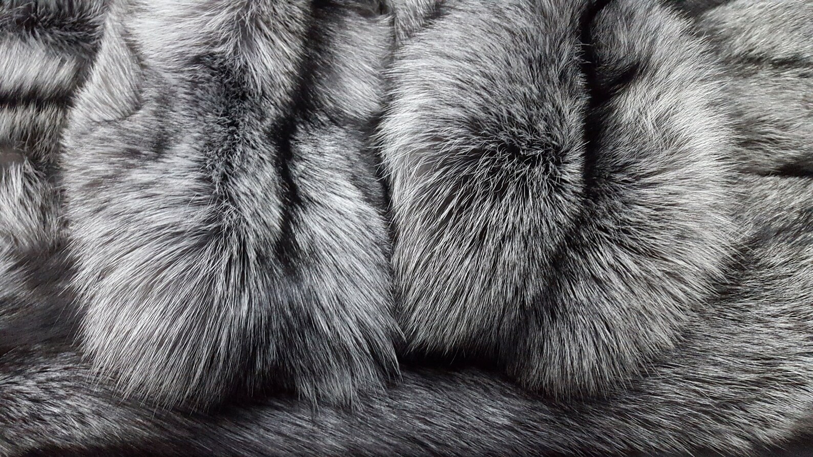 Silver Fox Pelt, Pelt, Silver Fox, Fox Fur, Fox Pelt, Silver Fox Fur ...