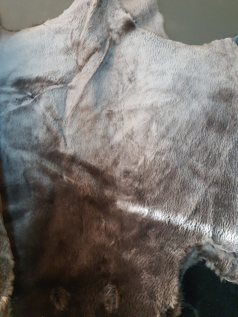 Dyed Sheared Beaver Pelt Colored Beaver Fur Paint Real | Etsy