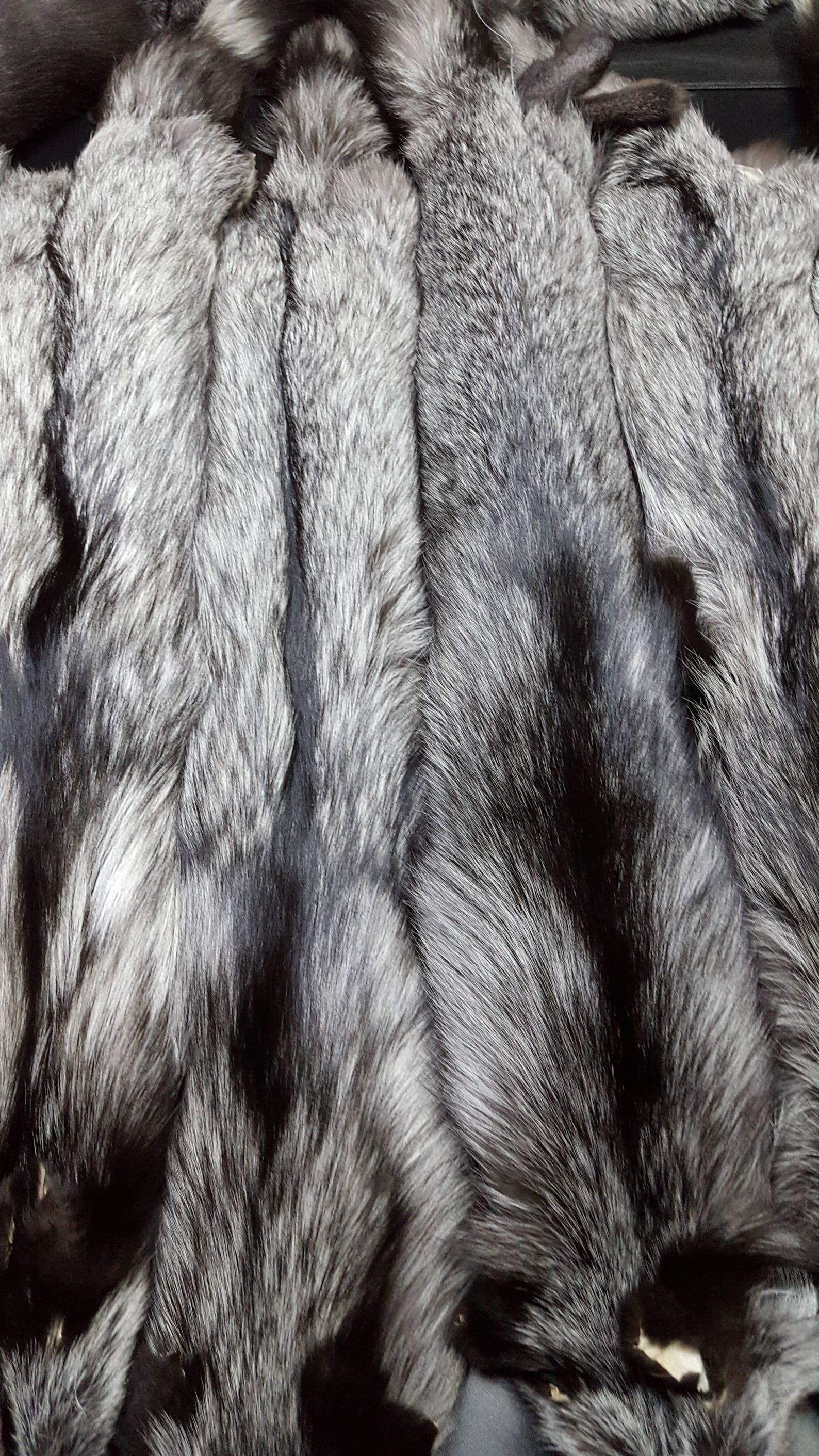 Finnish Silver Fox Furry Silver Fox Silver Fox Pelt Fox - Etsy