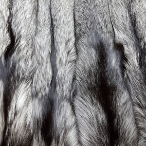 Finnish Silver Fox Furry Silver Fox Silver Fox Pelt Fox - Etsy