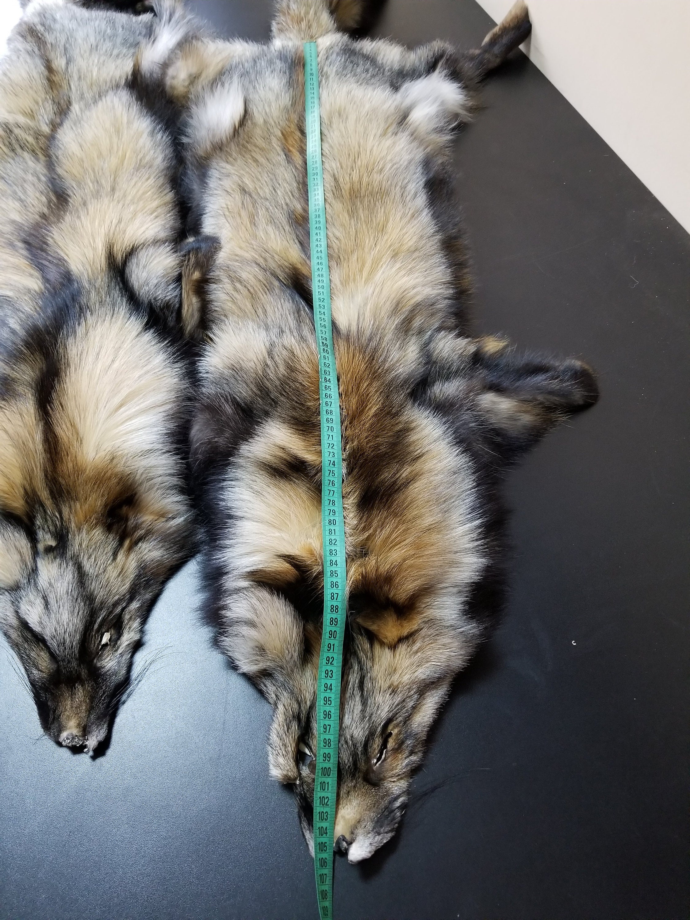 Cross fox pelt fox pelt fox pelts fox fur real fur real | Etsy