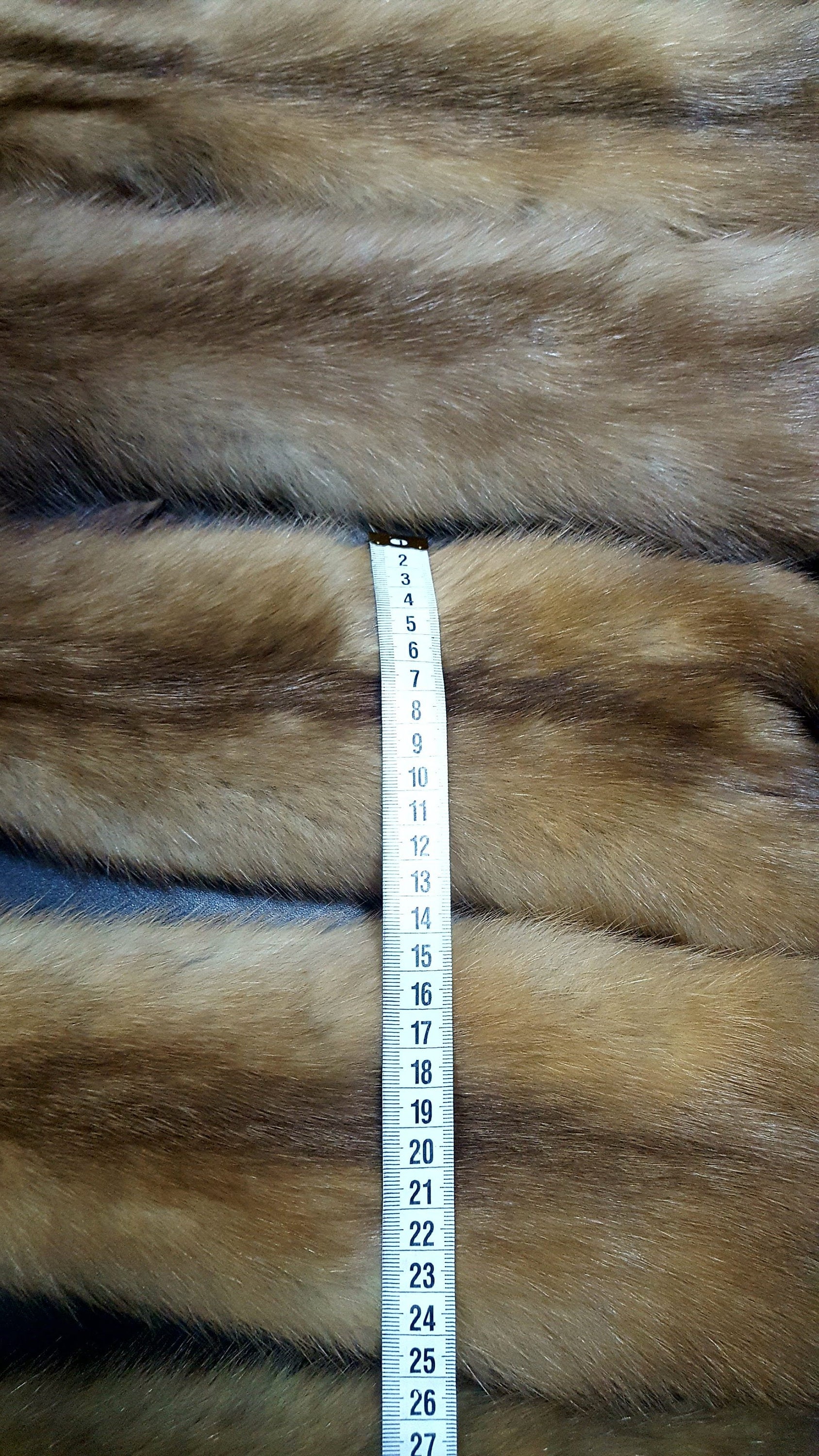 Marten Pelt Marten Skin Marten Hide Marten Fur Real Fur - Etsy