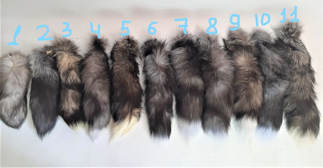 Large Silver Fox Tail, Fox, Tail, Silver Fox Tail, Fur Tail, Fox Fur ...