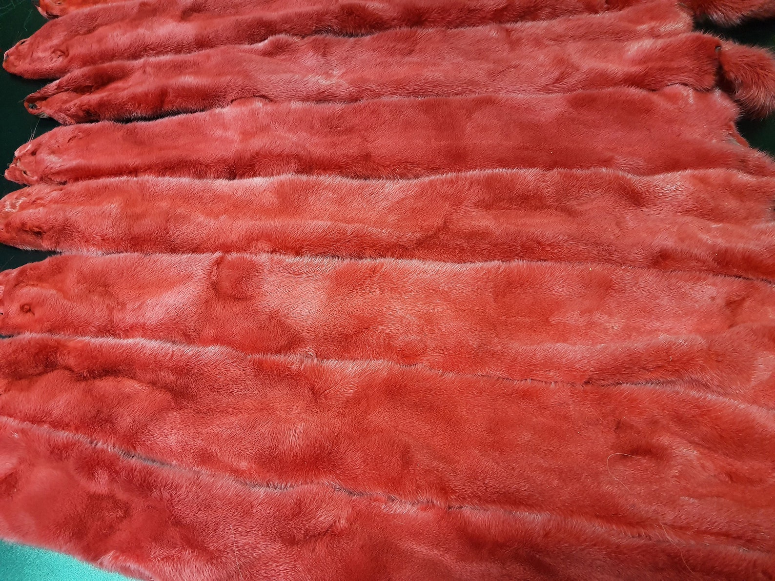 Red Mink Pelt, Mink Pelt, Mink Pelts, Mink Fur, Mink Skin, Red Mink ...