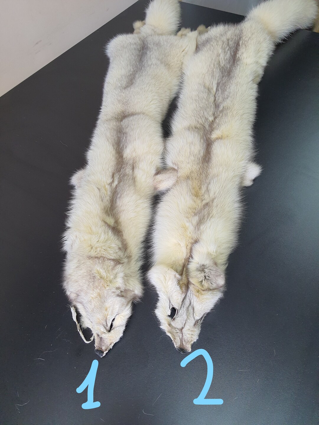 Yellow Fox Pelts, Fox Fur, Fur, Real Fur, Genuine Fox Fur, Lemon Color ...