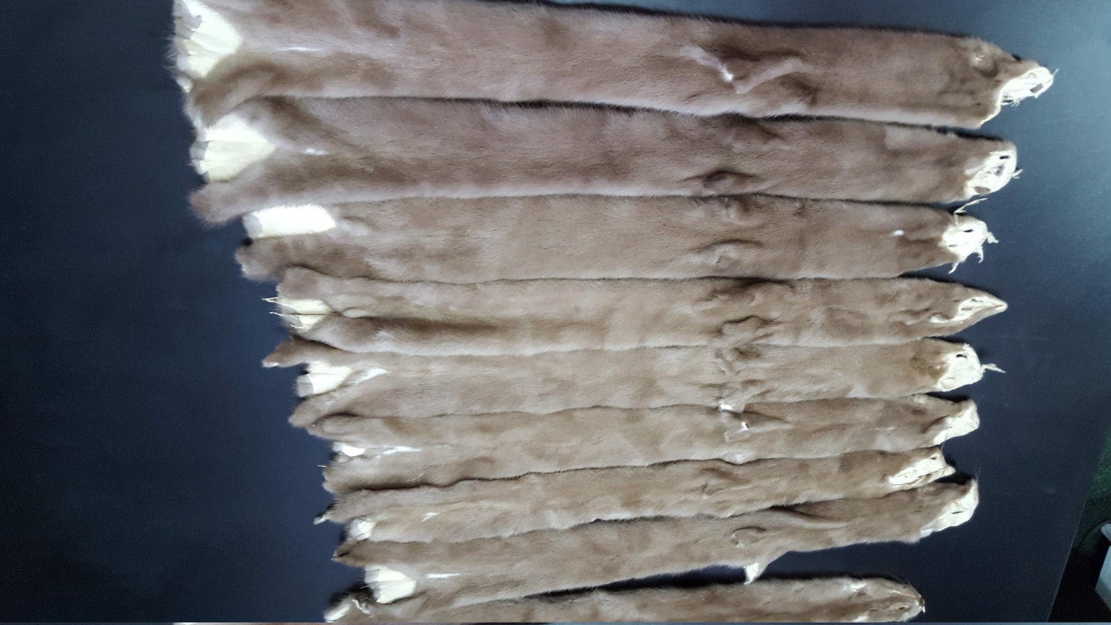 Pastel Mink Pelt Mink Fur Mink Hide Mink Skin Real Mink | Etsy