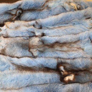 Blue Fox Pelt Fox Fur Fox Pelt Fox Pelts Fox Skin Blue | Etsy