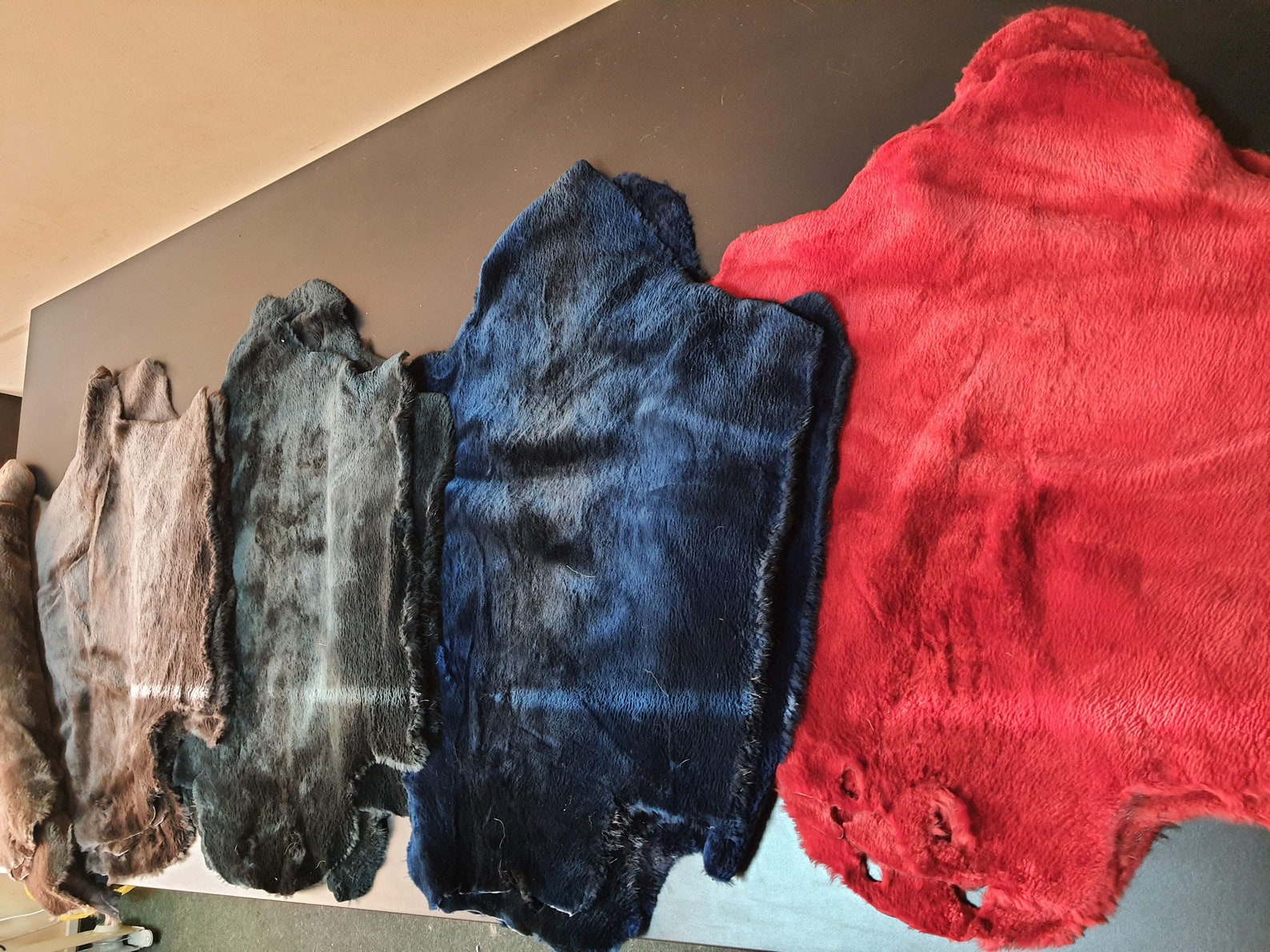 Dyed Sheared Beaver Pelt Colored Beaver Fur Paint Real | Etsy